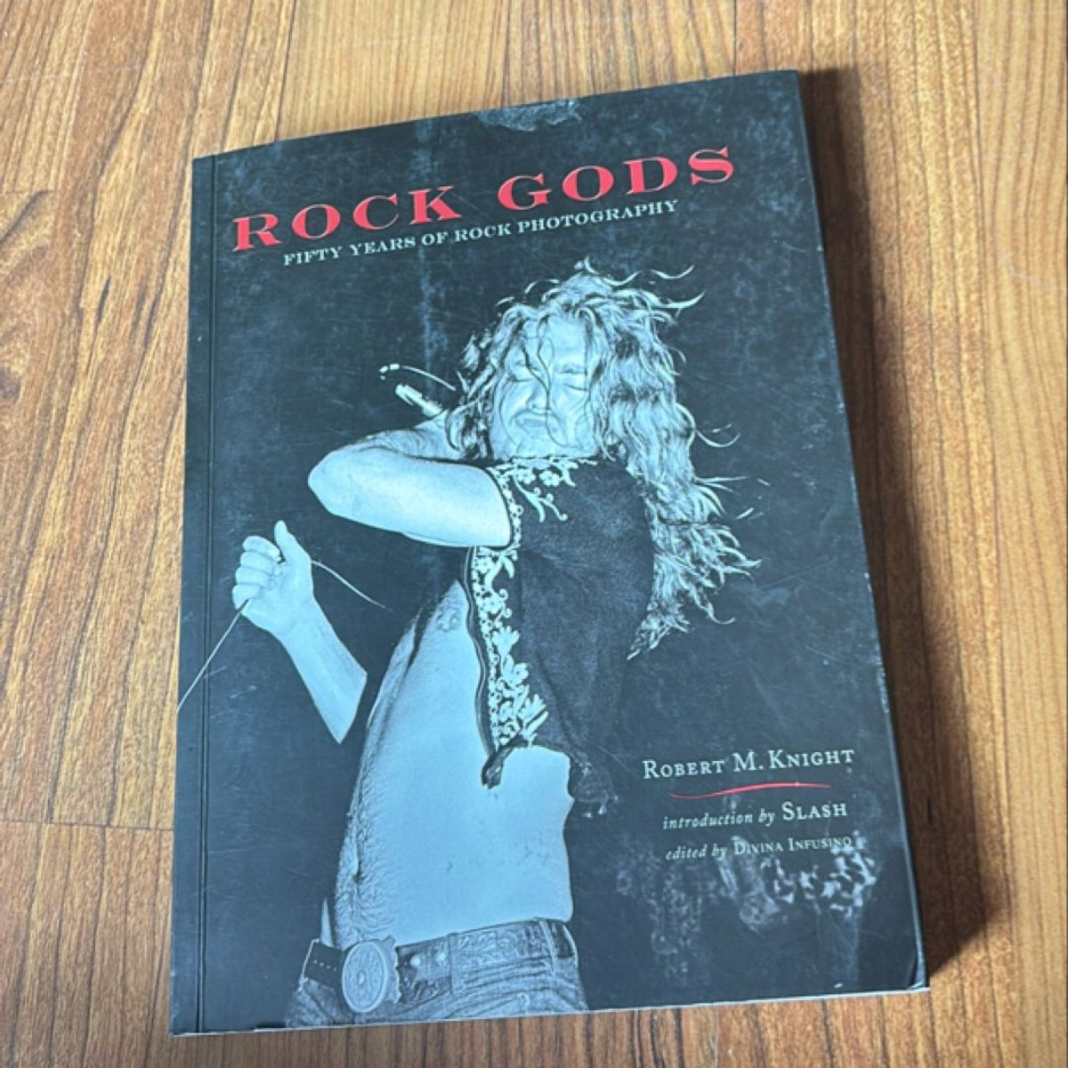 Rock Gods by Robert M. Knight