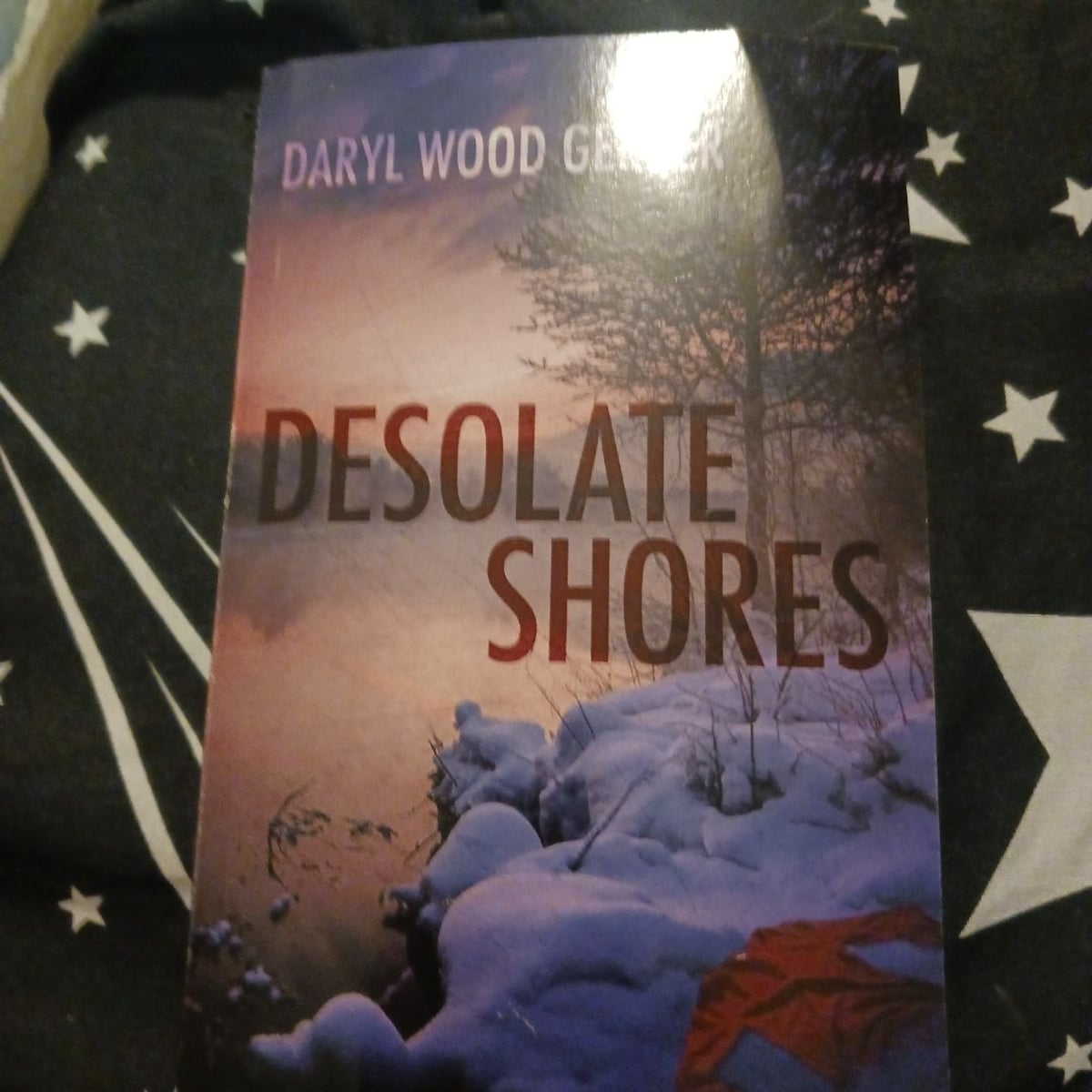 Desolate Shores by Daryl Wood Gerber , Paperback | Pangobooks