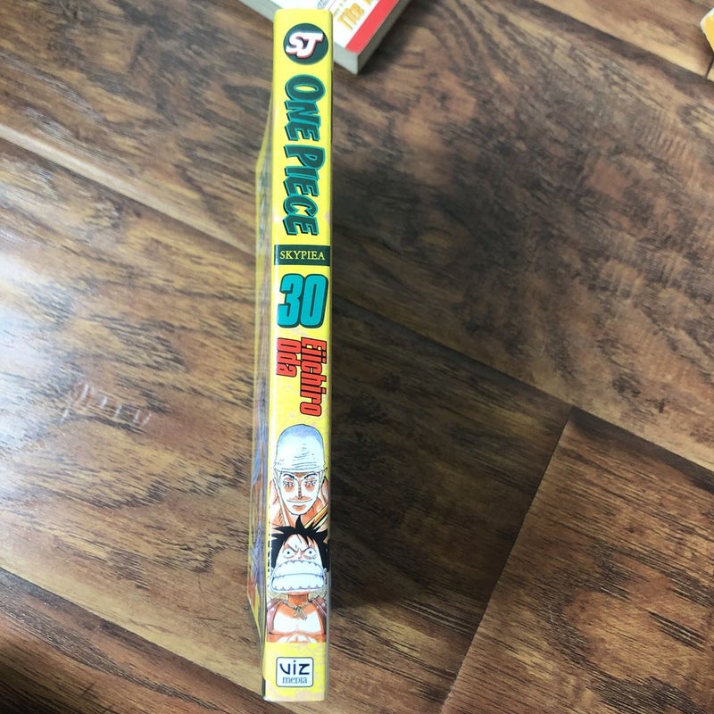 One Piece, Vol. 30 by Eiichiro Oda, Paperback | Pangobooks