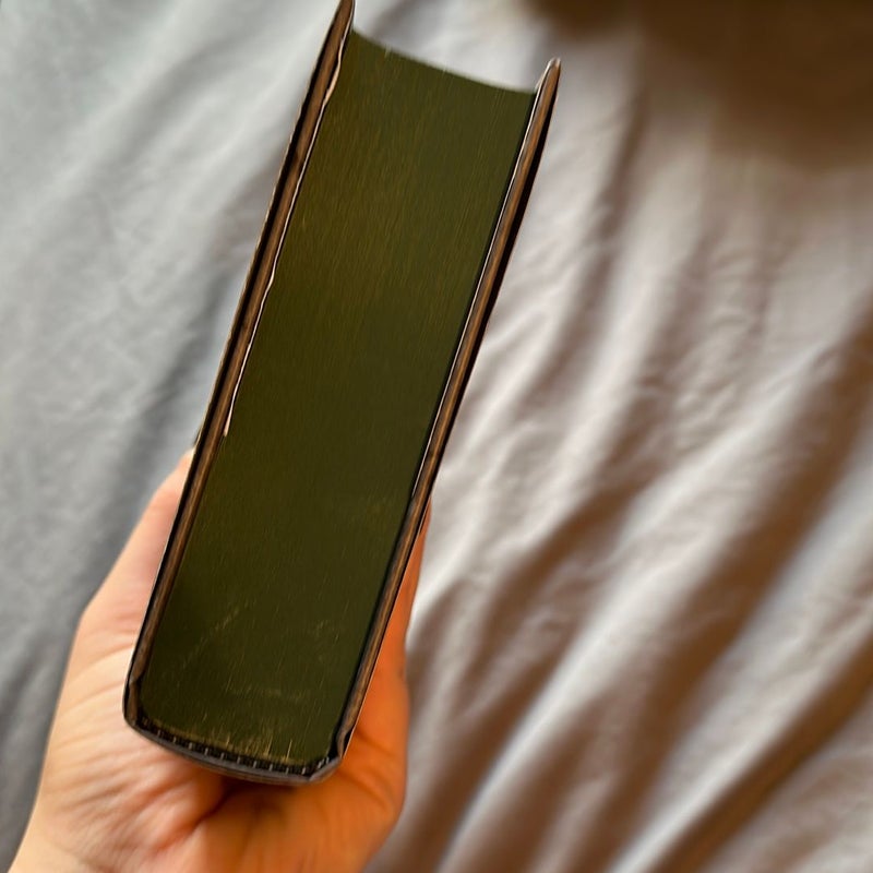 After The Forest *Illumicrate Edition* by Kell Woods, Hardcover ...