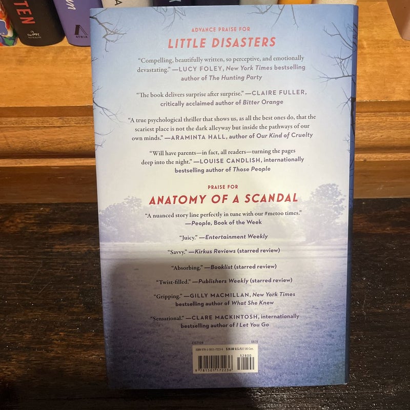 Little Disasters by Sarah Vaughan , Hardcover | Pangobooks