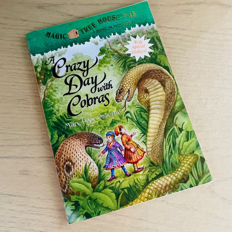 Magic Tree House Merlin Mission Bundle- Set of 2 by Mary Pope Osborne ...