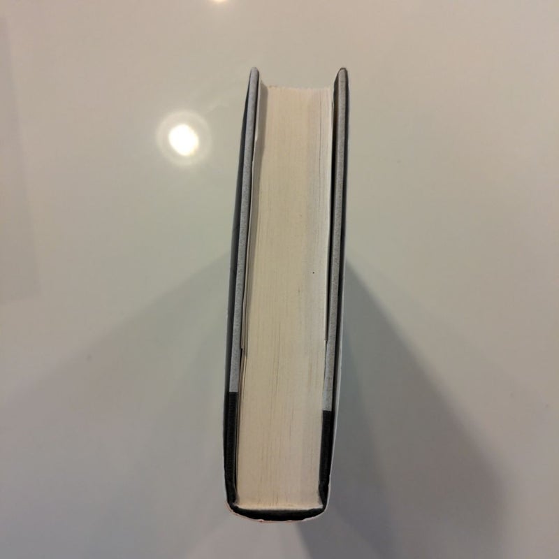 Airframe by Michael Crichton