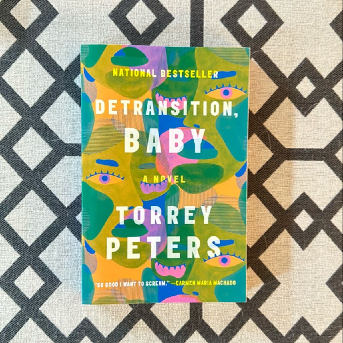 Detransition, Baby by Torrey Peters