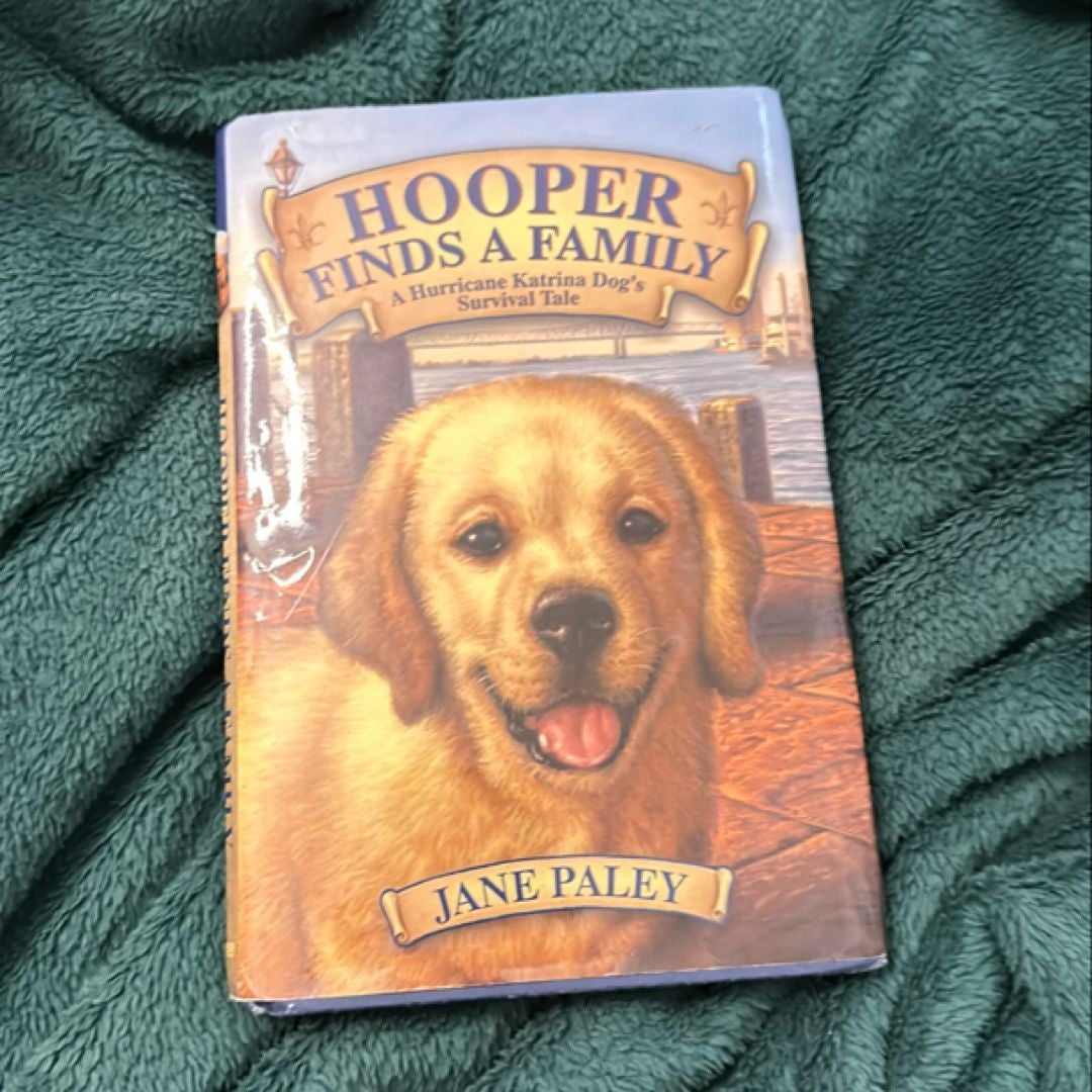 Hooper Finds a Family by Jane Paley