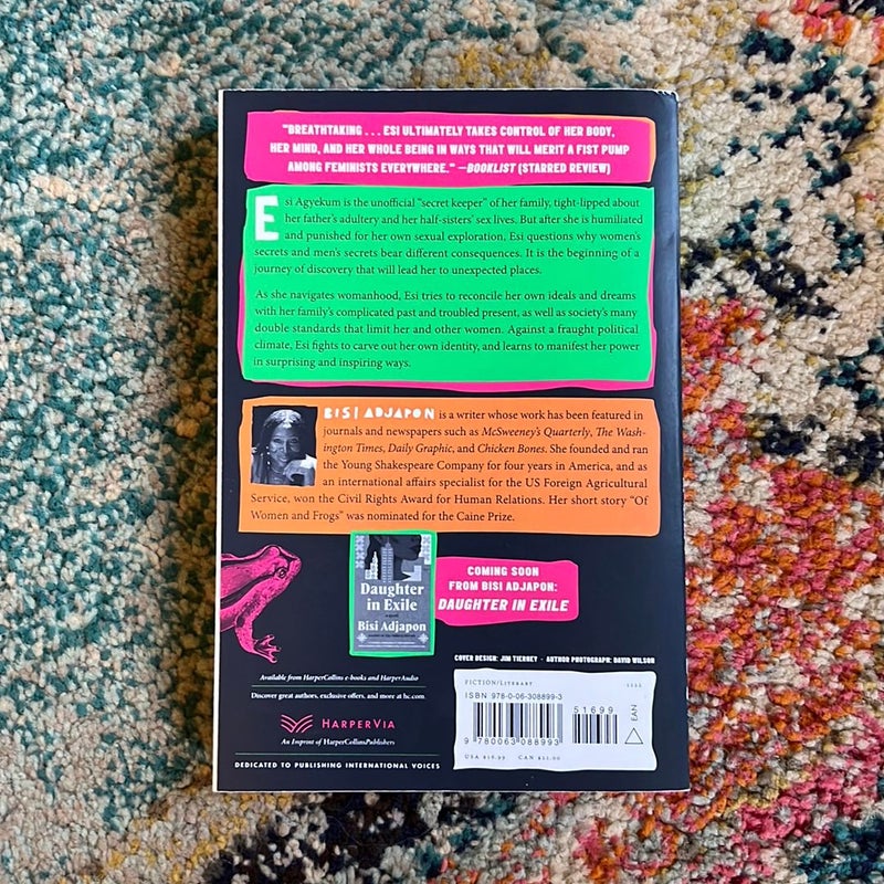 The Teller of Secrets by Bisi Adjapon, Paperback | Pangobooks