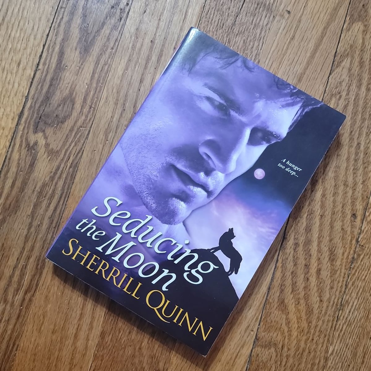 Seducing the Moon by Sherrill Quinn, Paperback | Pangobooks