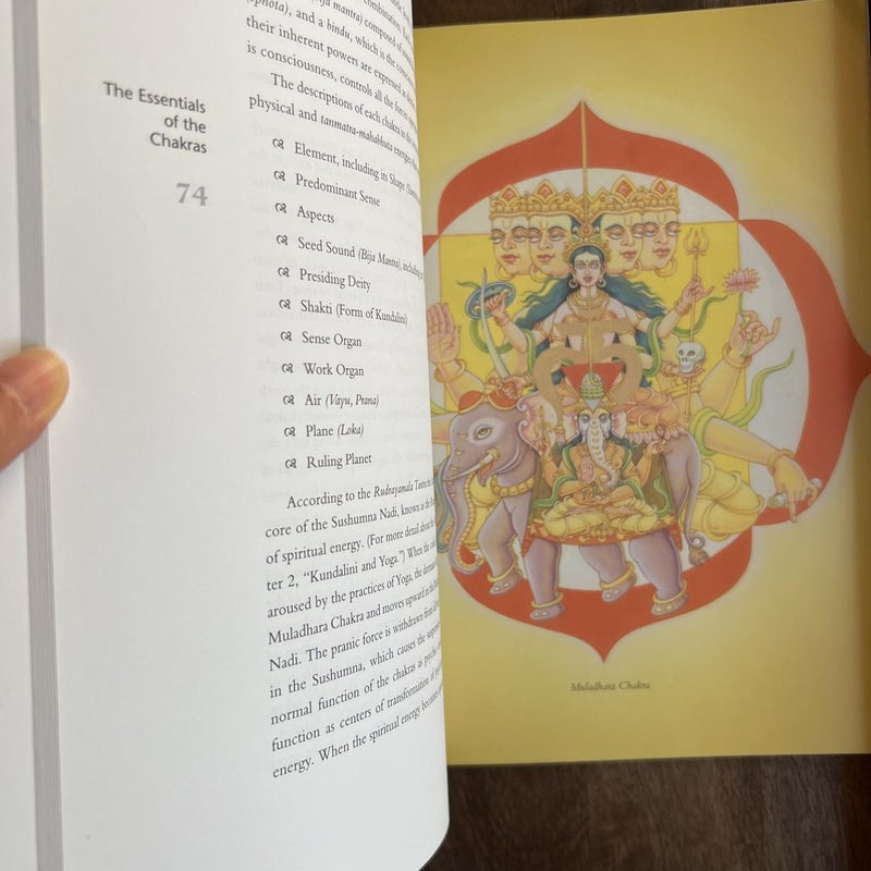 Chakras by Harish Johari