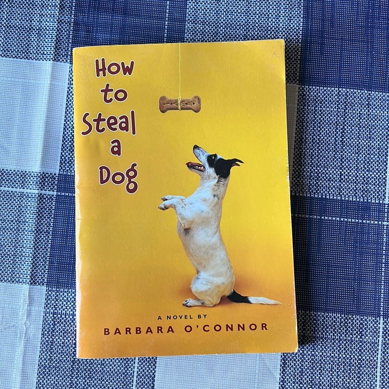 How To Steal a Dog by Barbara O’Connor, Paperback | Pangobooks