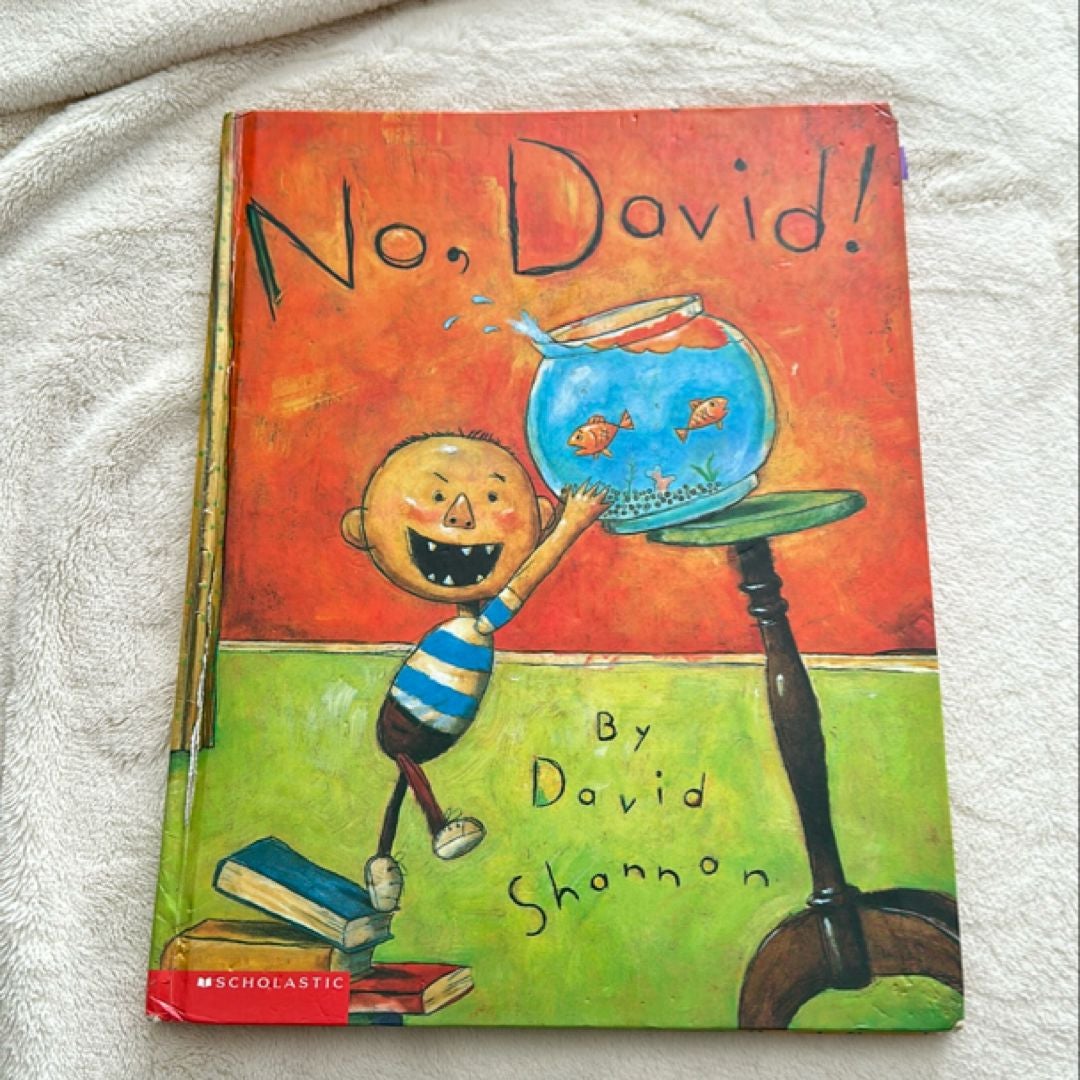 No, David! by David Shannon, Hardcover | Pangobooks