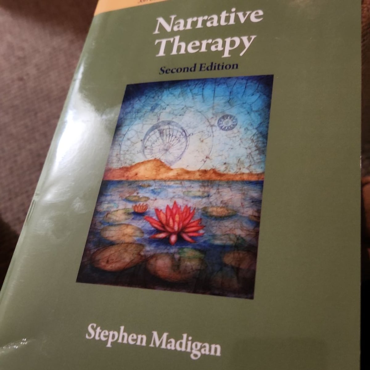 Narrative Therapy by Stephen Madigan
