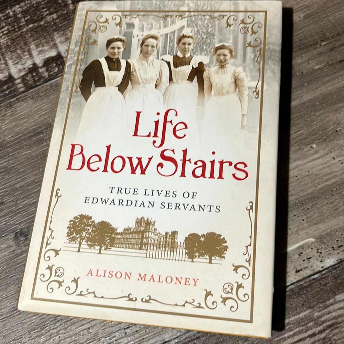 Life below Stairs by Alison Maloney