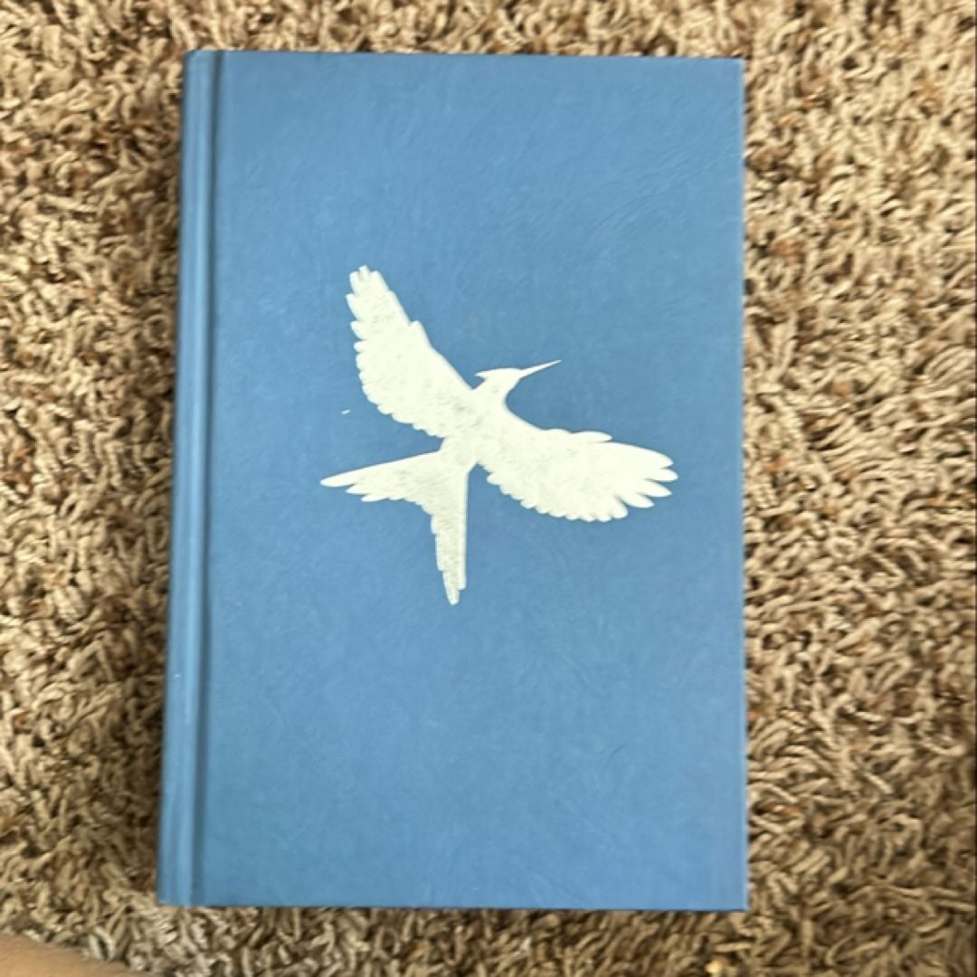 Mockingjay by Suzanne Collins, Hardcover | Pangobooks