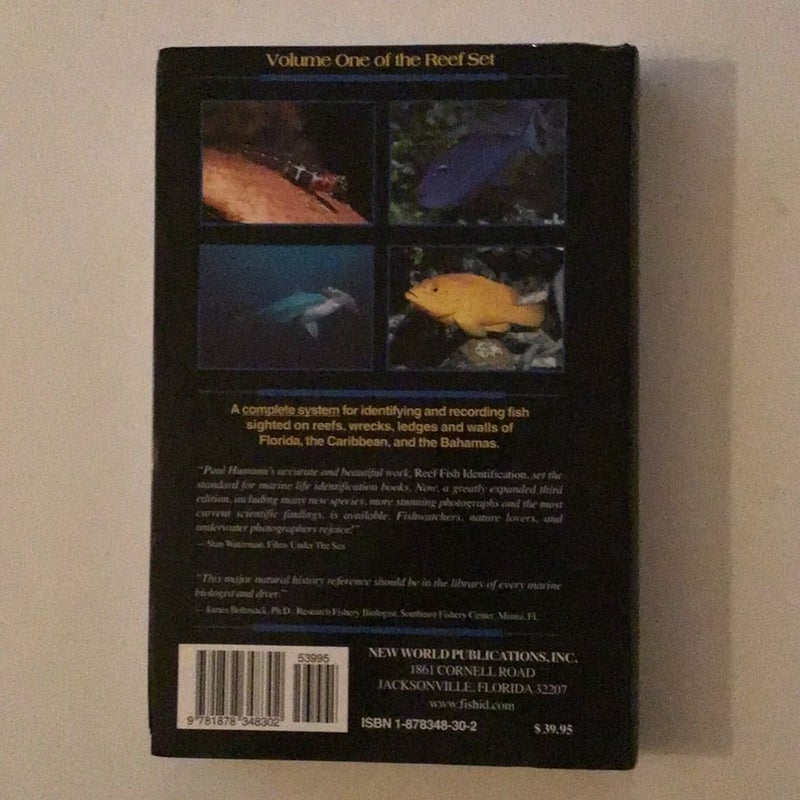 Reef Fish Identification Florida Caribbean Bahamas by Paul Humann ...