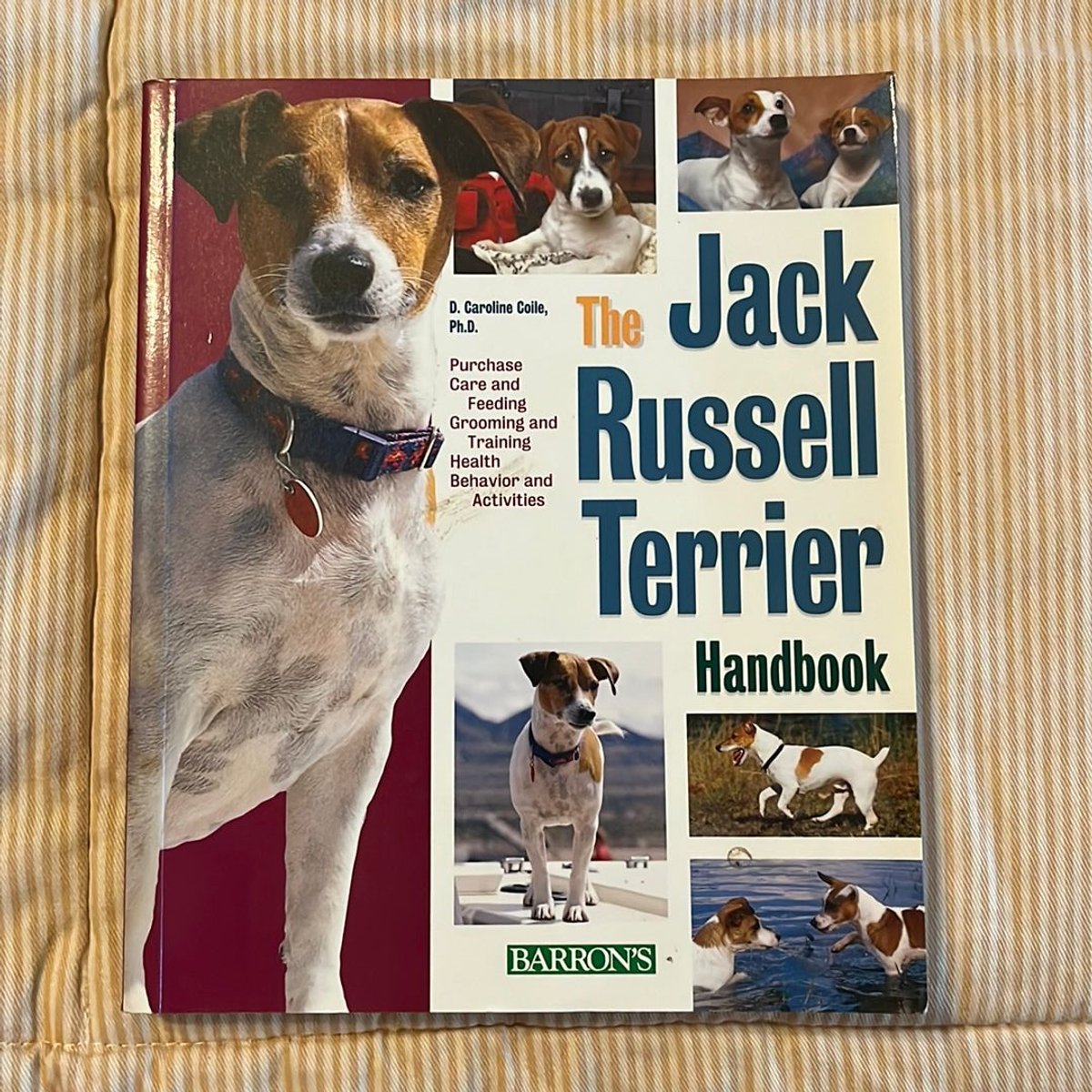 The Jack Russell Terrier Handbook by D. Caroline Coile
