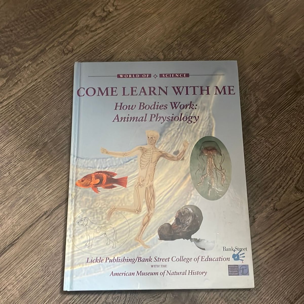 How Bodies Work by Bridget Anderson