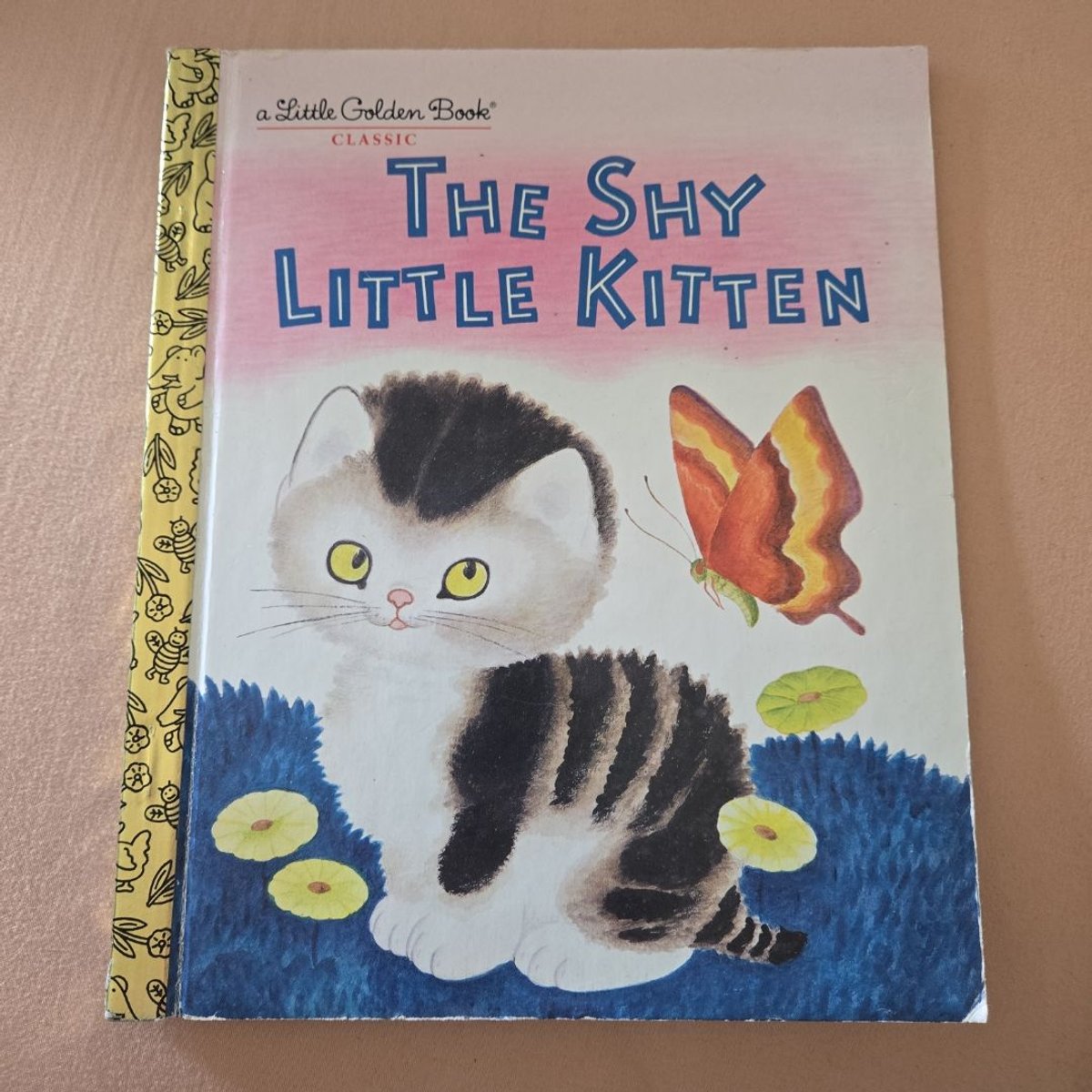 The Shy Little Kitten by Cathleen Schurr