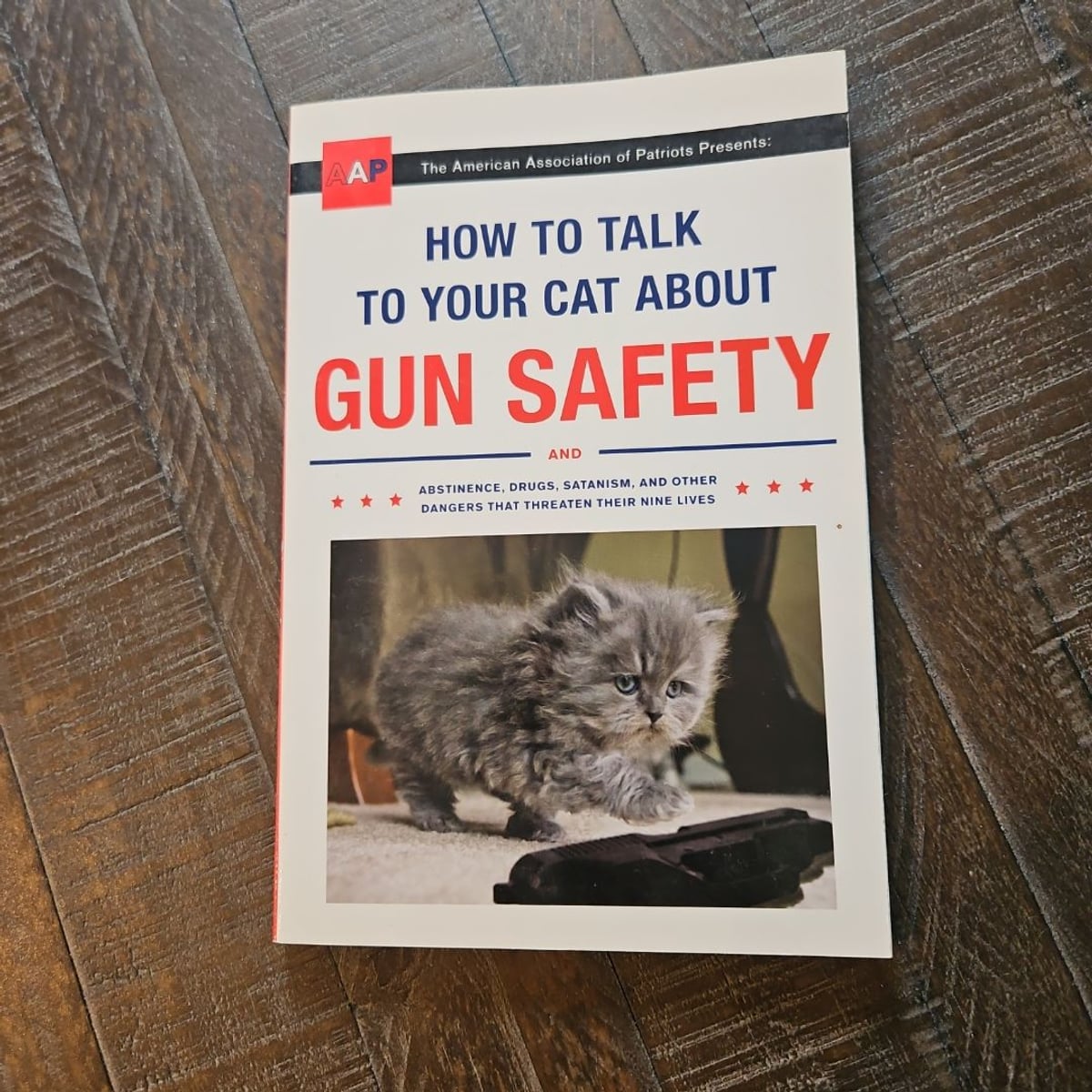 How to Talk to Your Cat about Gun Safety by Zachary Auburn
