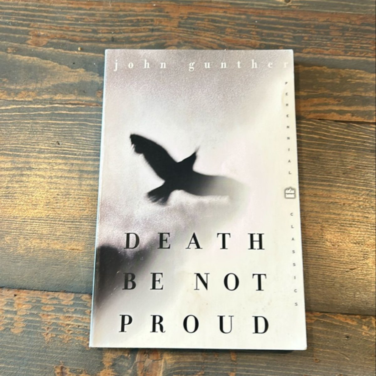 Death Be Not Proud by John Gunther