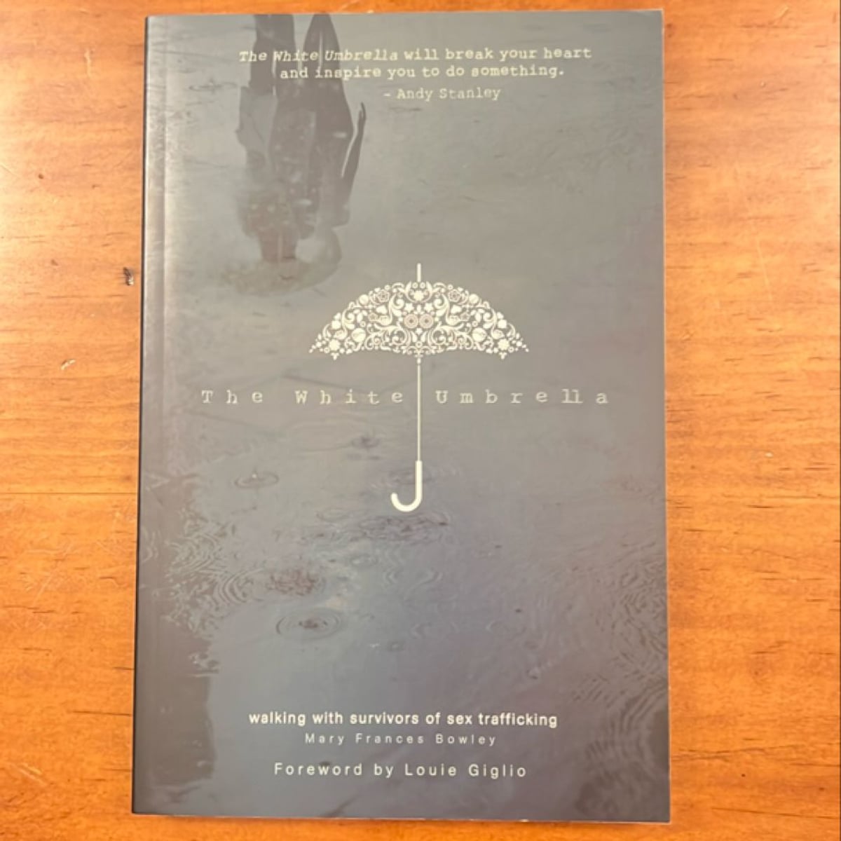The White Umbrella by Mary Frances Bowley, Louie Giglio