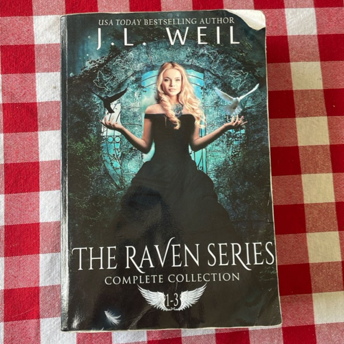 Raven Series: the Complete Collection by J. Weil