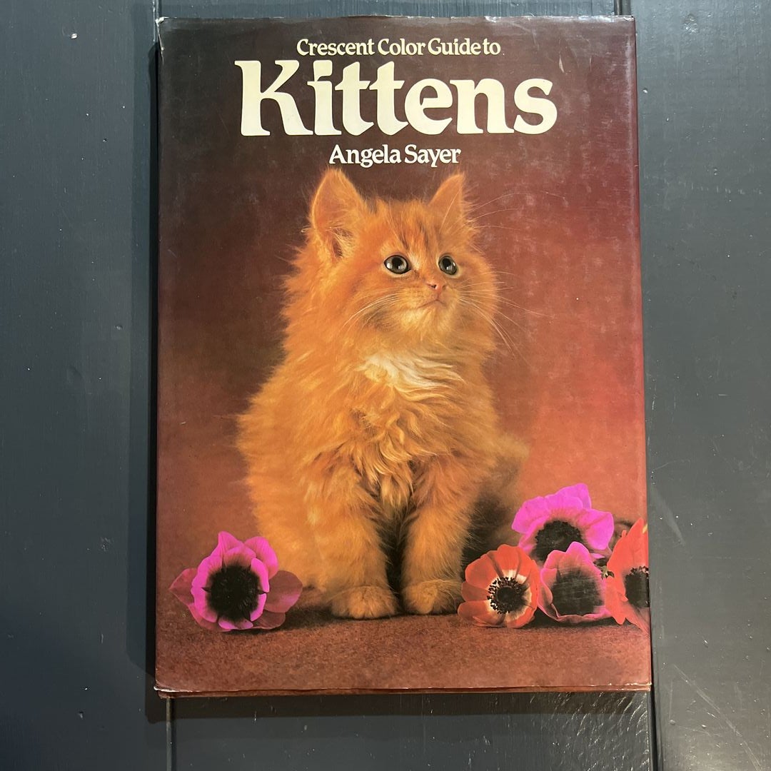 Crescent Color Guide to Kittens by Outlet Book Company Staff
