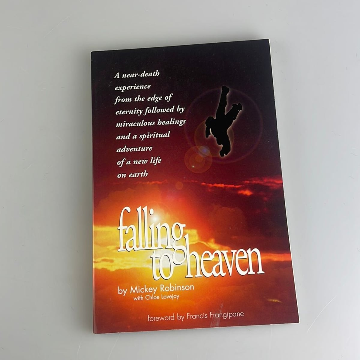 Falling to Heaven by Mickey Robinson, Francis Frangipane