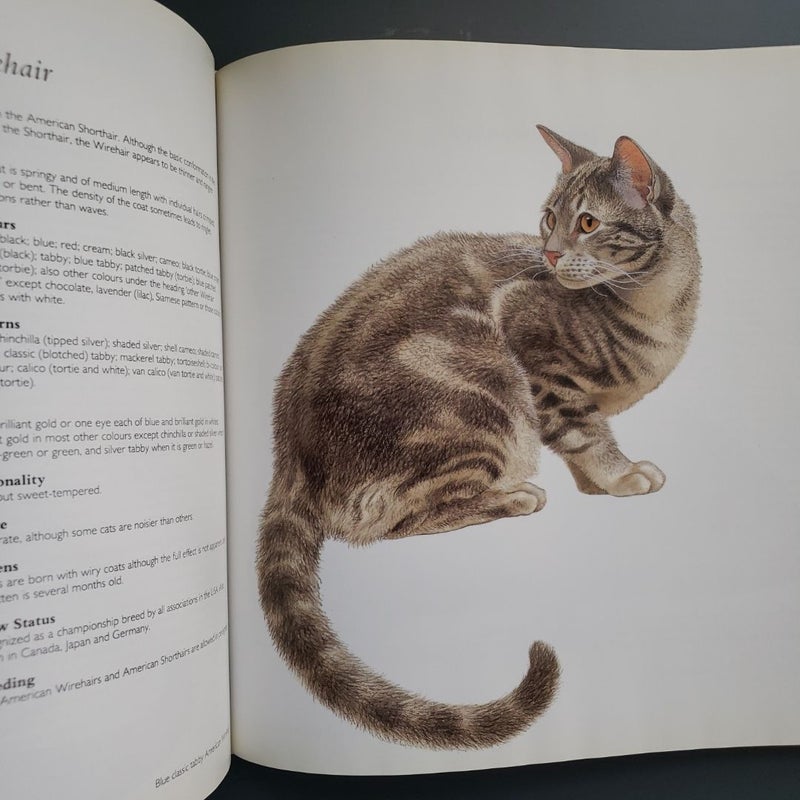 Perfect Cats by Peter Warner