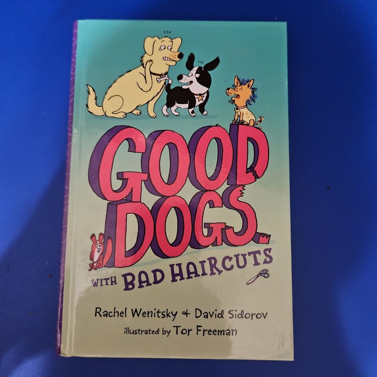 Good Dogs with Bad Haircuts by Rachel Wenitsky, David Sidorov
