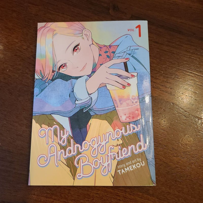 My Androgynous Boyfriend Vol. 1 by Tamekou