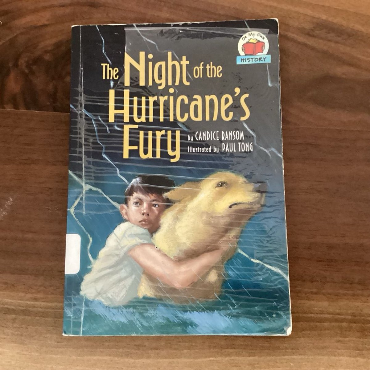 The Night of the Hurricane's Fury by Candice Ransom
