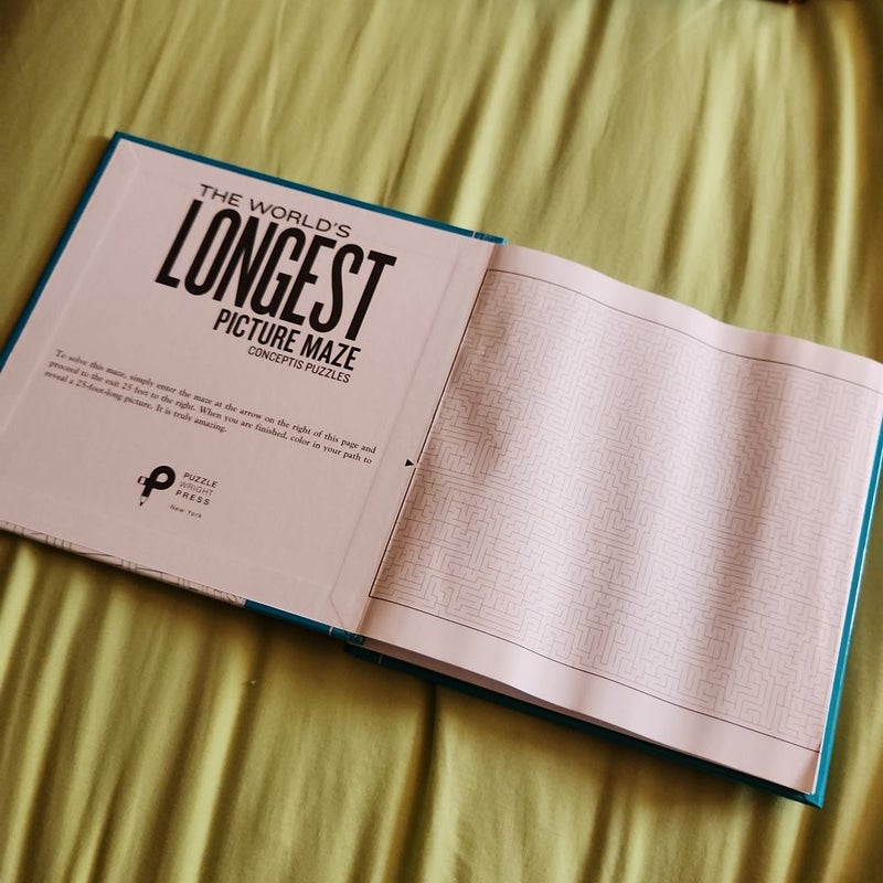 The World's Longest Picture Maze by Conceptis Conceptis Puzzles