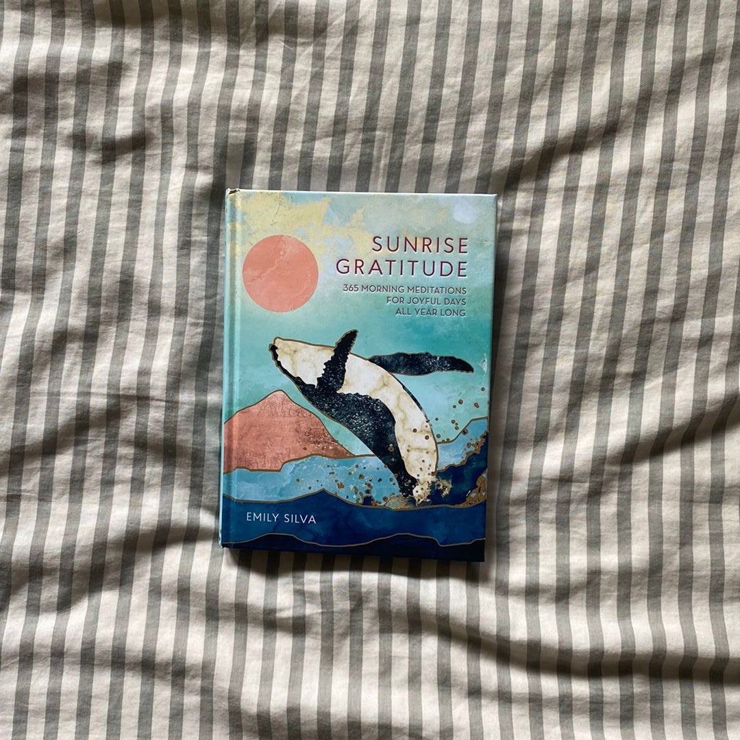 Sunrise Gratitude by Emily Silva, Hardcover | Pangobooks