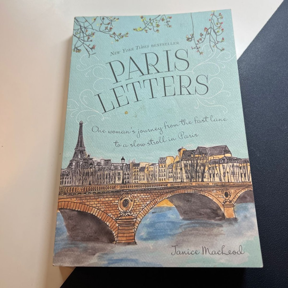 Paris Letters by Janice MacLeod