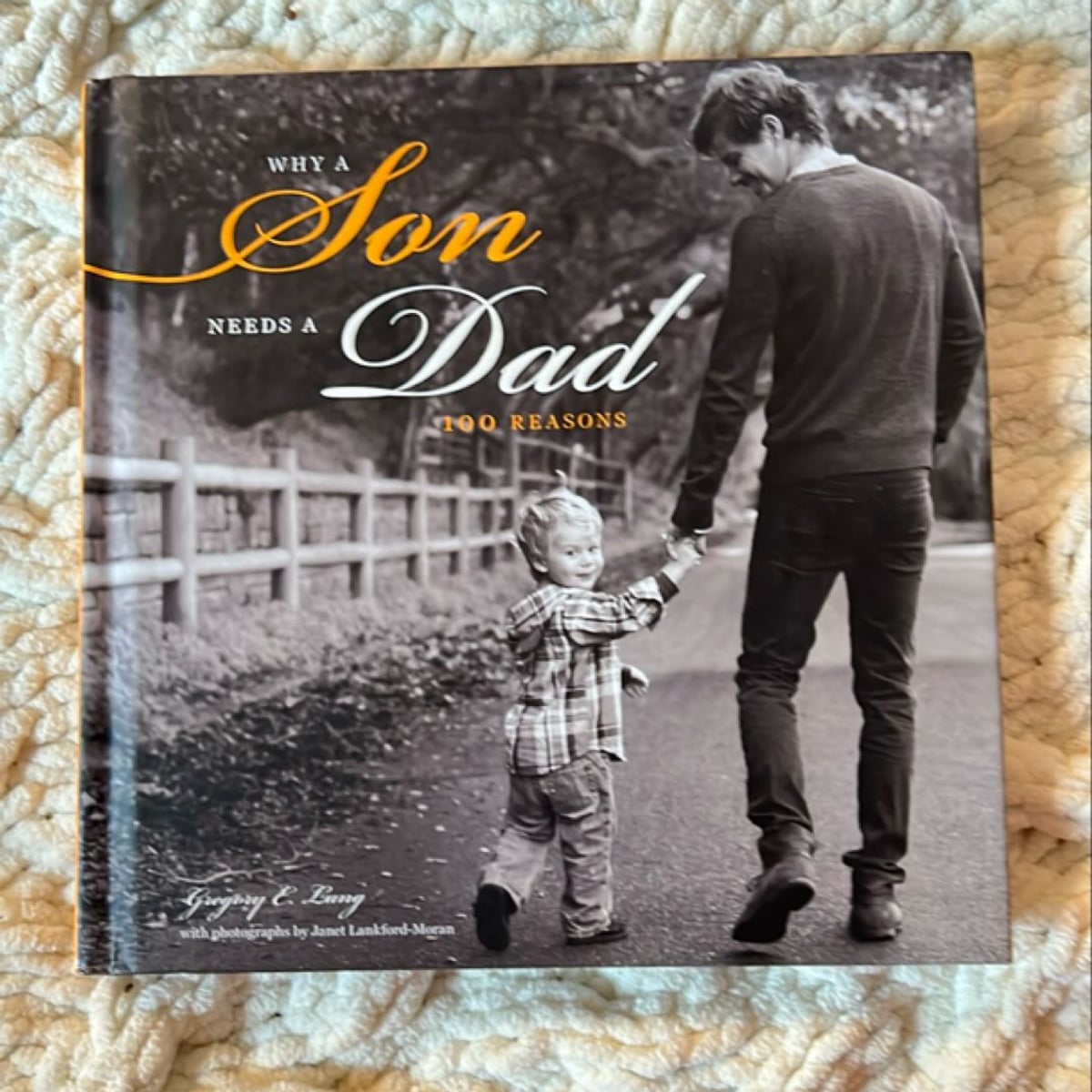 Why a Son Needs a Dad by Gregory E. Lang, Janet Lankford-Moran