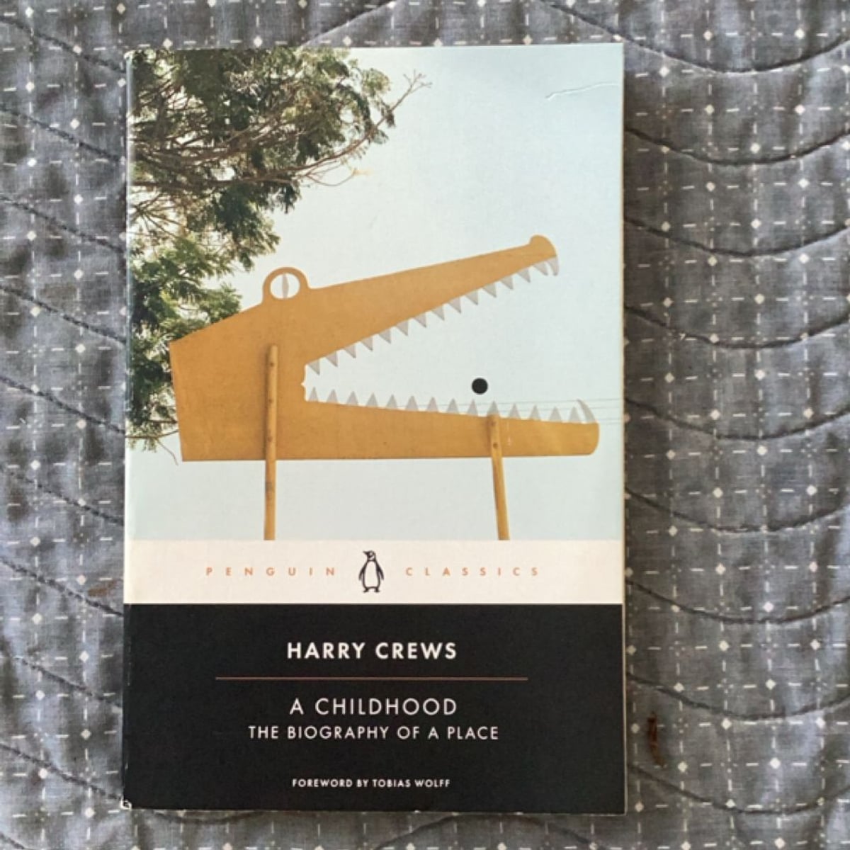 A Childhood by Harry Crews, Tobias Wolff
