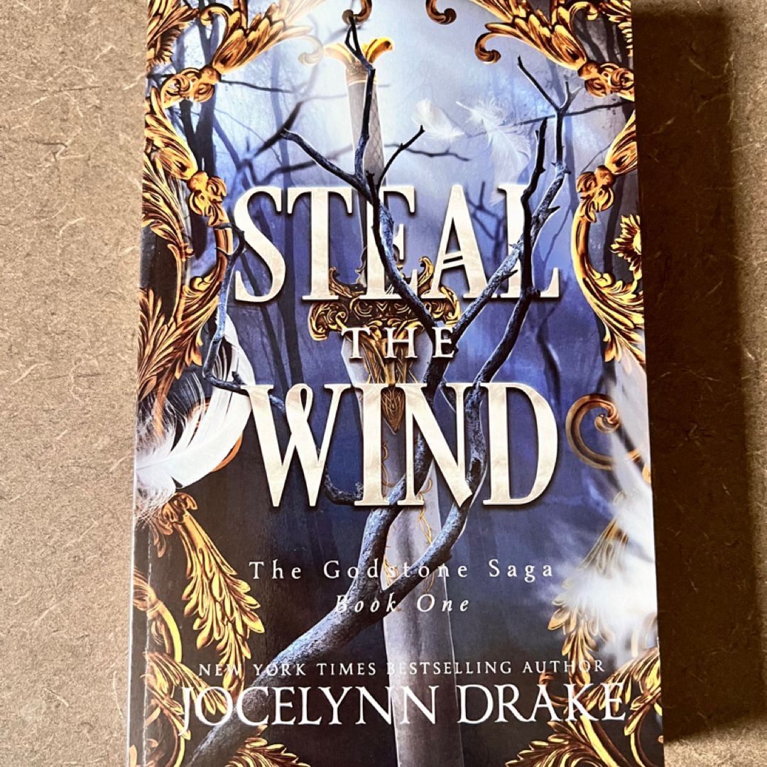 Steal The Wind by Jocelynn Drake, Paperback | Pangobooks