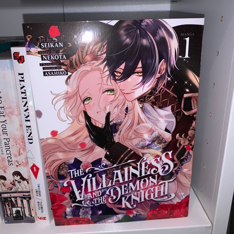 The Villainess and the Demon Knight (Manga) Vol. 1 by Nekota; Asahiko ...