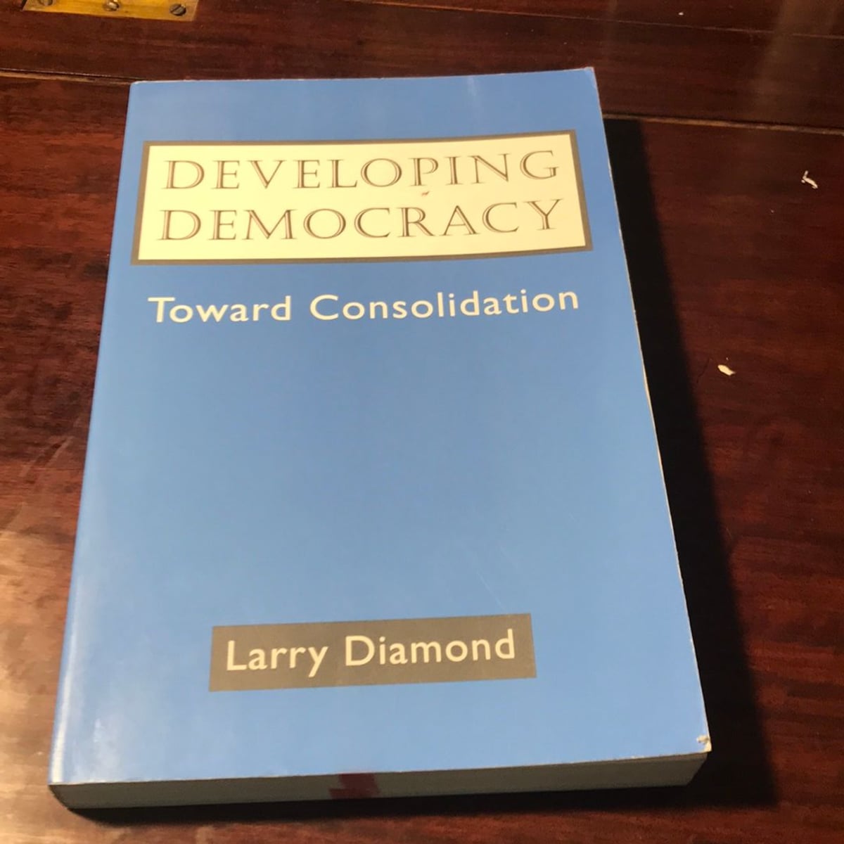 Developing Democracy by Larry J. Diamond