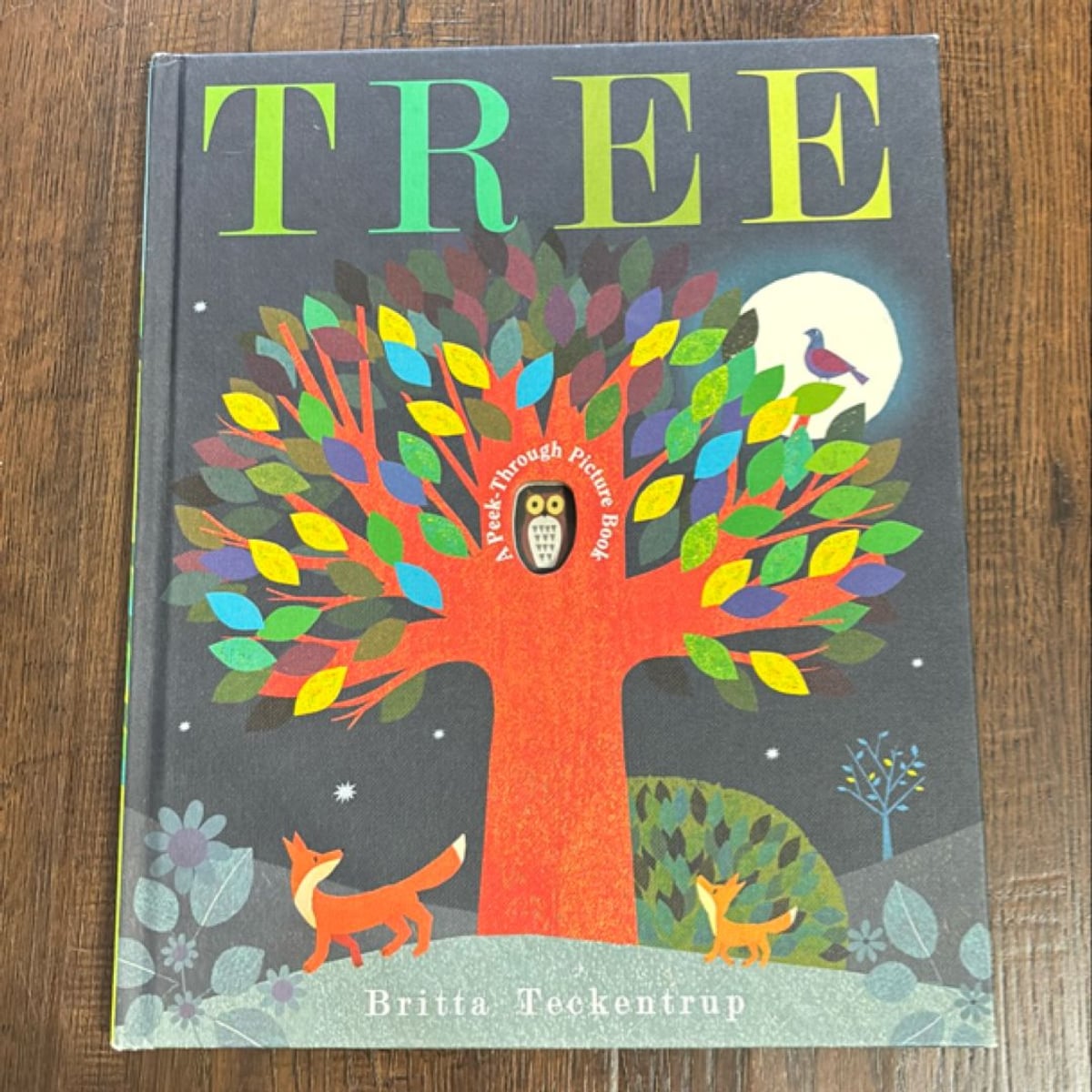 Tree: a Peek-Through Picture Book by Britta Teckentrup