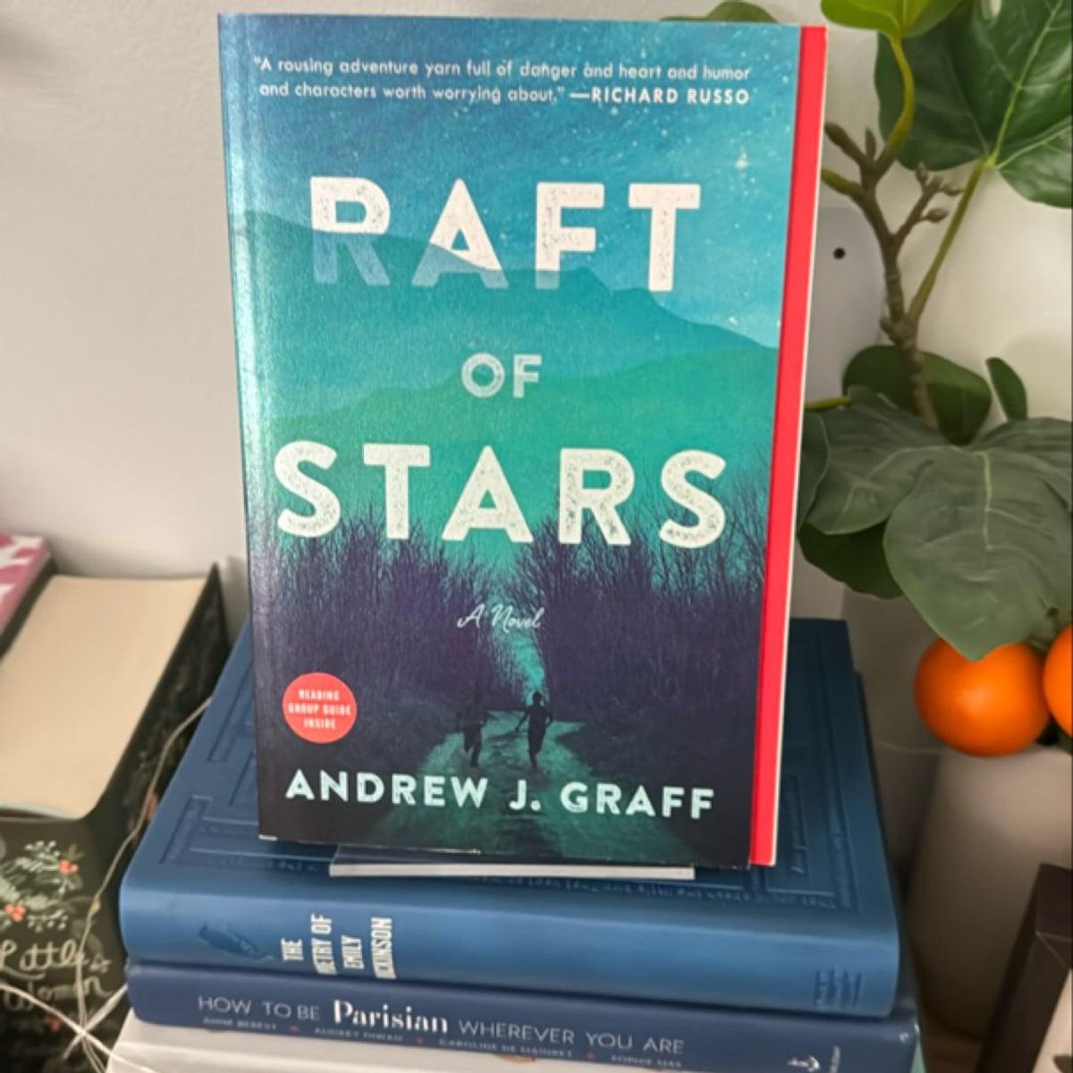 Raft of Stars by Andrew J. Graff