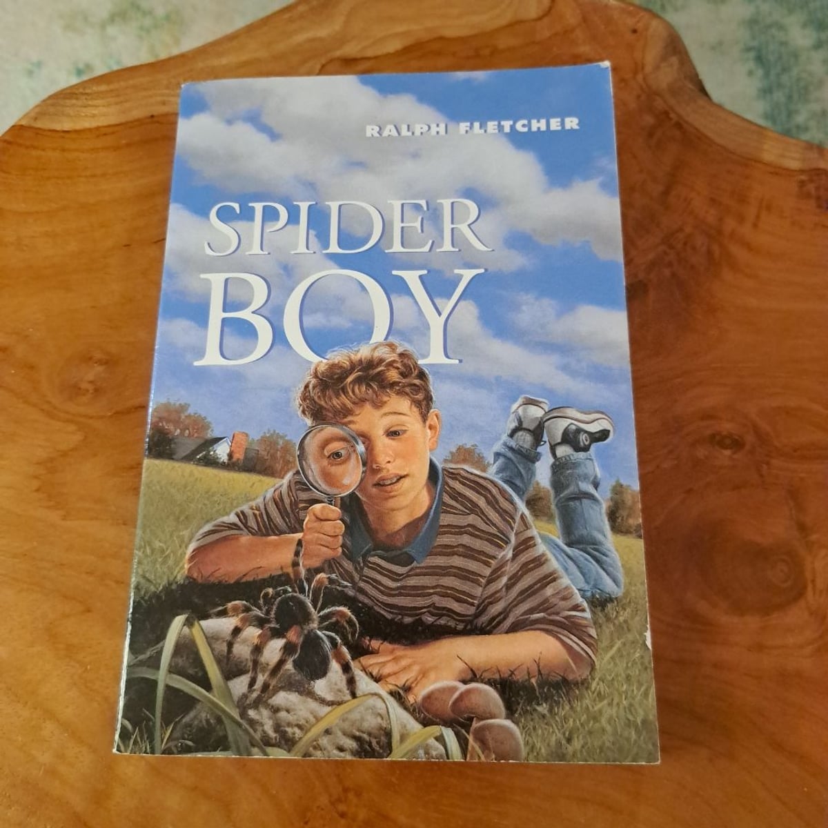 Spider Boy by Ralph J. Fletcher