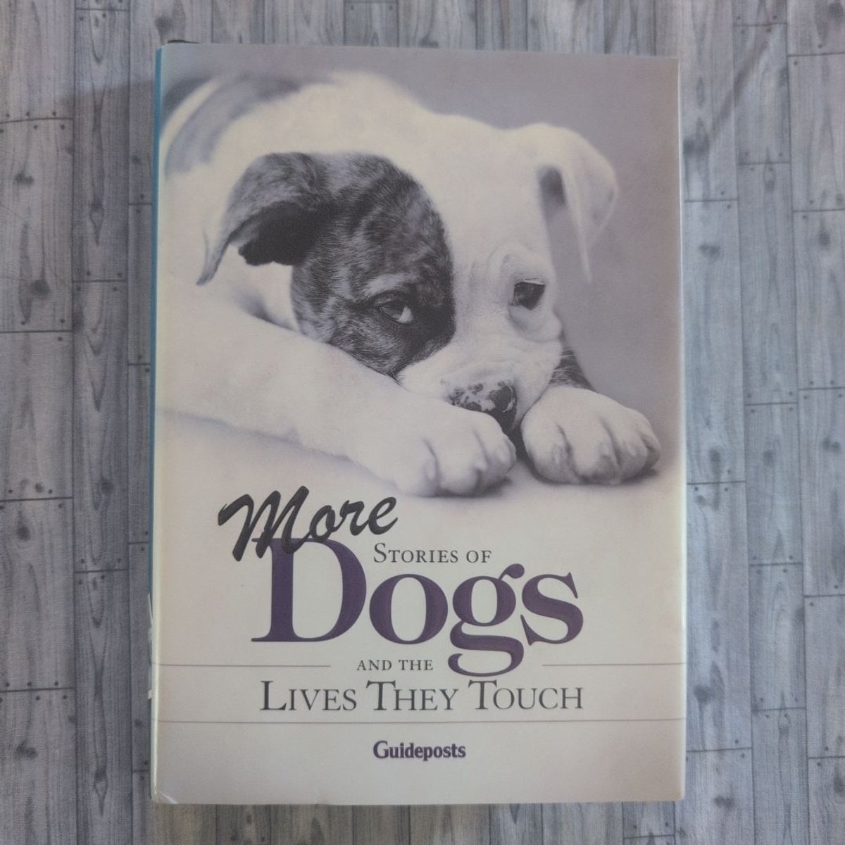 More Stories of Dogs by Peggy Schaefer