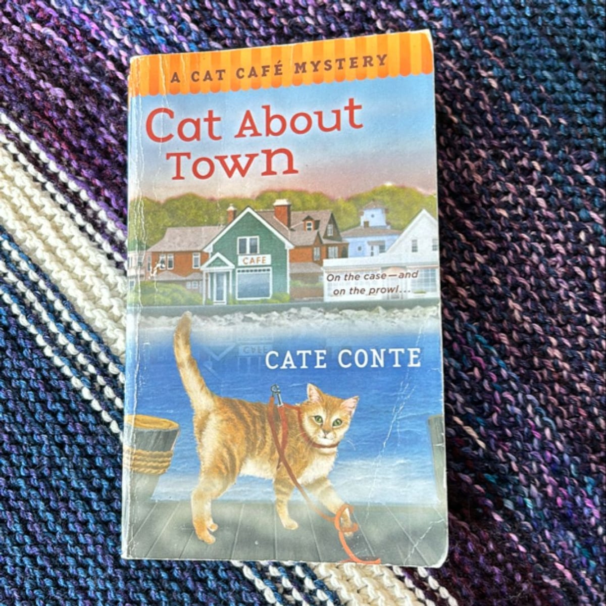 Cat about Town by Cate Conte, Paperback | Pangobooks
