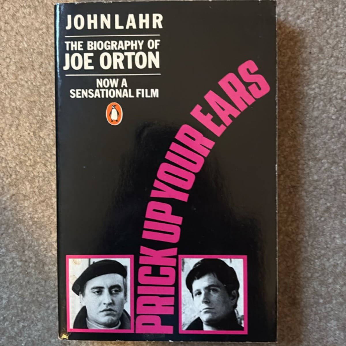 Prick Up Your Ears by John Lahr