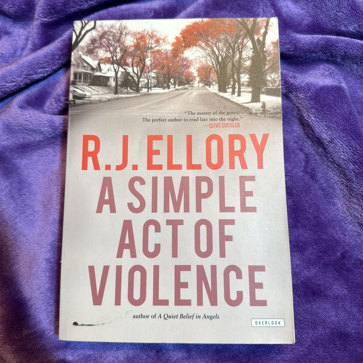 A Simple Act of Violence by R. J. Ellory