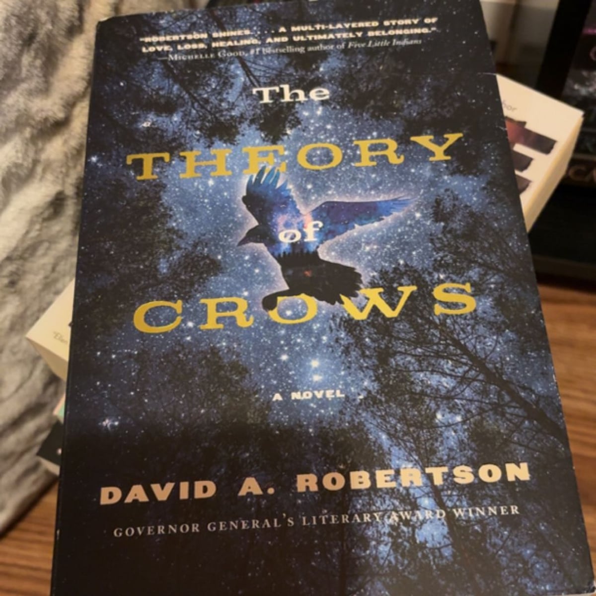 The Theory of Crows by David A. Robertson