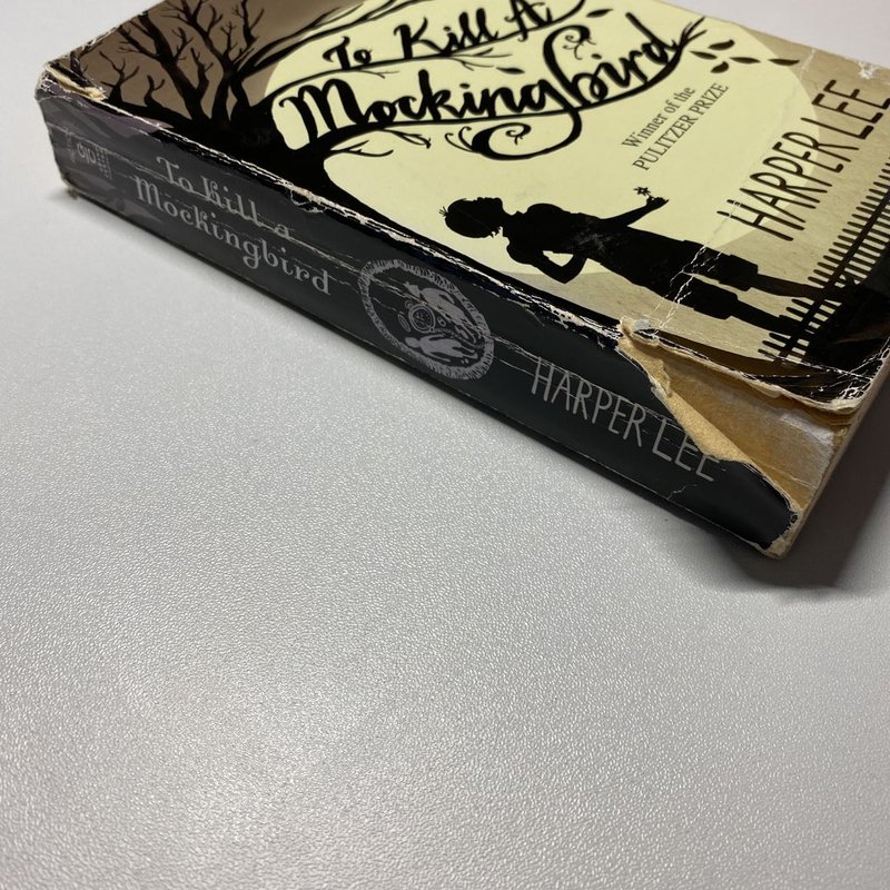 To Kill a Mockingbird by Harper Lee, Paperback | Pangobooks