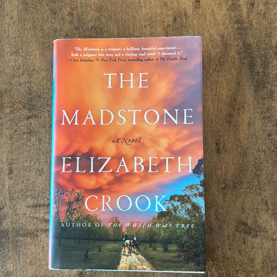 The Madstone by Elizabeth Crook