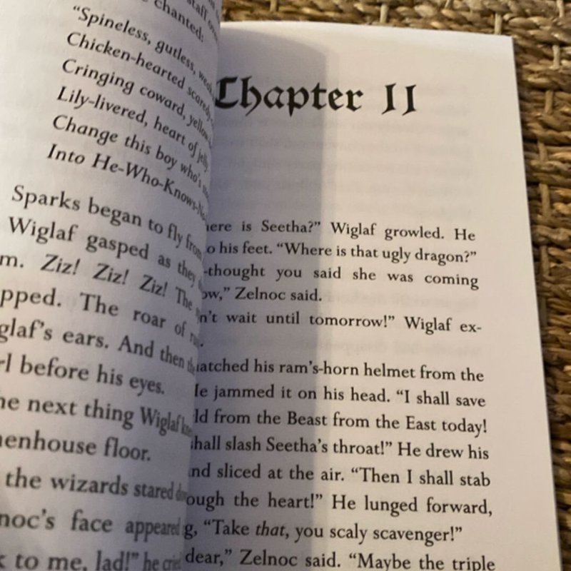 Revenge of the Dragon Lady by Kate McMullan